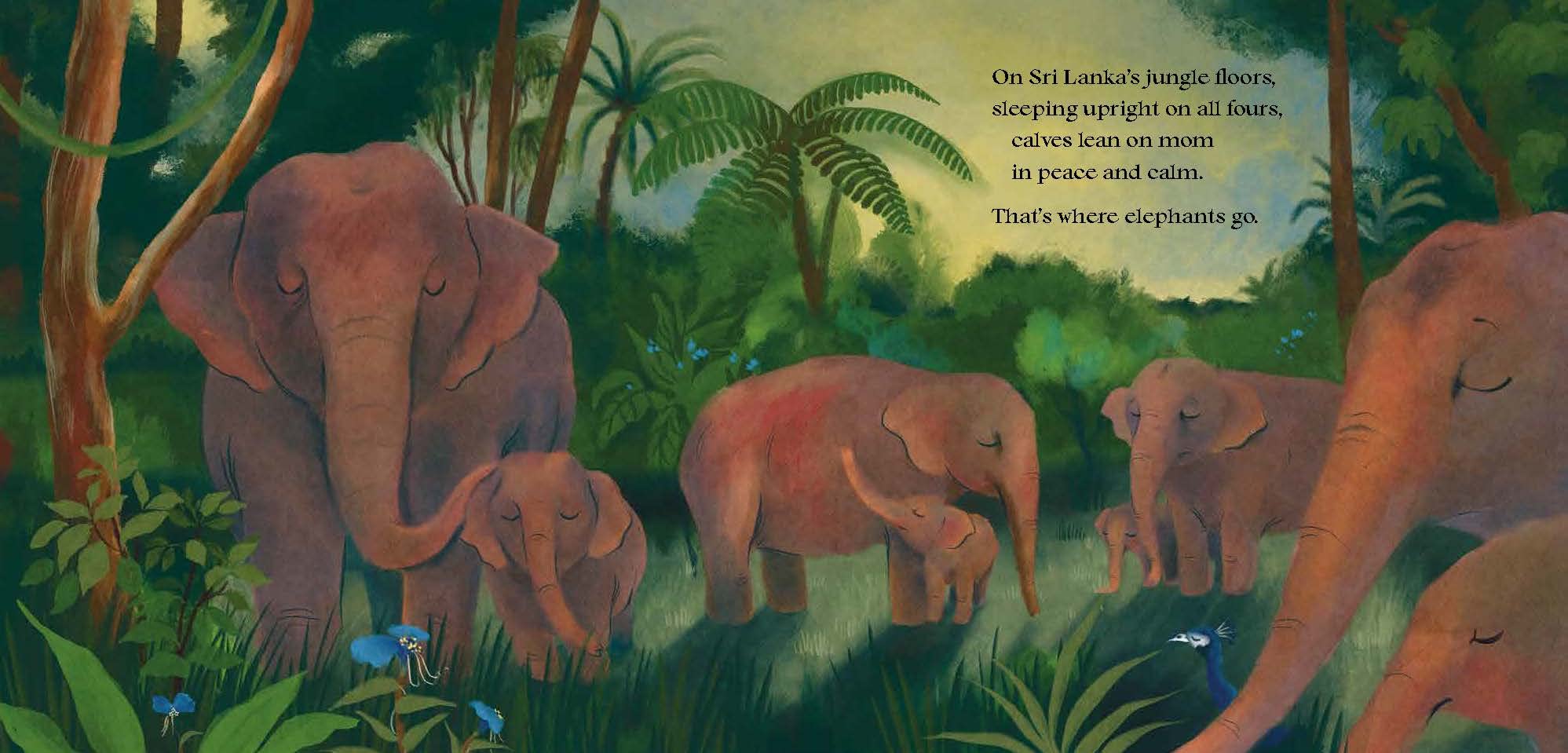 Where the Wee Ones Go: A Bedtime Wish for Endangered Animals