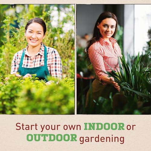 Garden Trends - Pea Seeds - Sugar Sprint Variety - Non-GMO Vegetable for Outdoor Planting Home Garden - Compact Vines - Edible, Stringless Pods - 100 Seeds