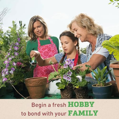 Garden Trends - Pea Seeds - Sugar Sprint Variety - Non-GMO Vegetable for Outdoor Planting Home Garden - Compact Vines - Edible, Stringless Pods - 100 Seeds