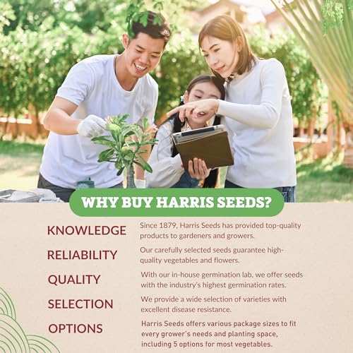 Garden Trends - Pea Seeds - Sugar Sprint Variety - Non-GMO Vegetable for Outdoor Planting Home Garden - Compact Vines - Edible, Stringless Pods - 100 Seeds