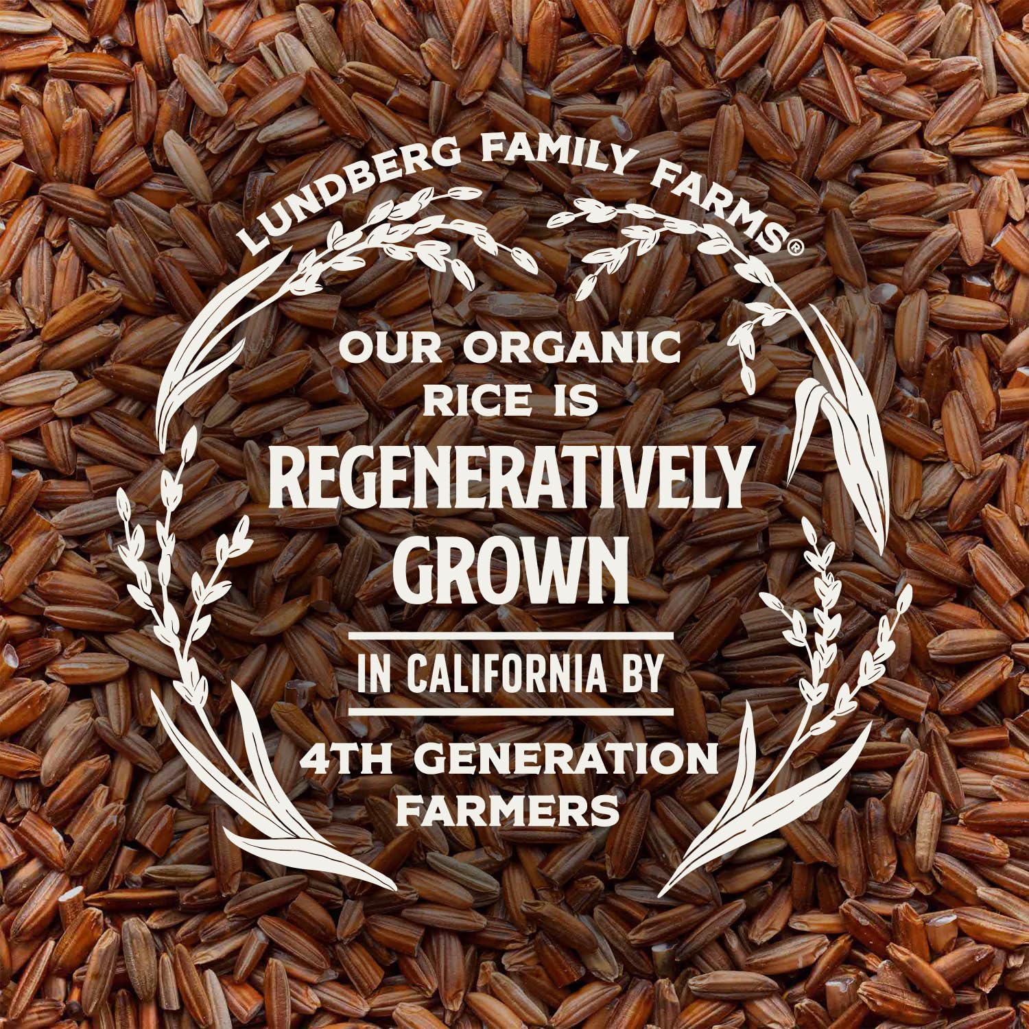 Lundberg Organic Red Jasmine Rice, Long Grain Red Rice - Non-Sticky, Fluffy Aromatic Rice, Organically Grown in California, Pantry Staples, 16 Oz