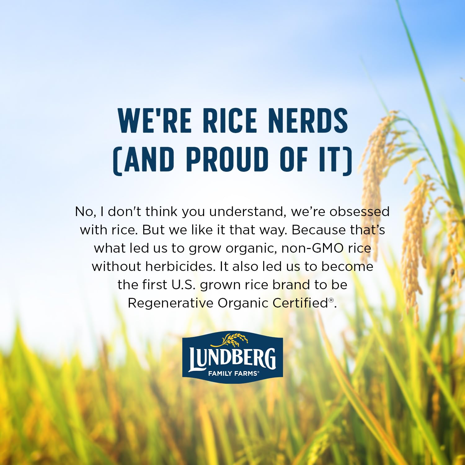 Lundberg Organic Red Jasmine Rice, Long Grain Red Rice - Non-Sticky, Fluffy Aromatic Rice, Organically Grown in California, Pantry Staples, 16 Oz
