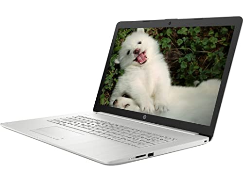 2022 HP 17.3" FHD IPS Laptop, 11th Gen Intel Core i5-1135G7(Beats i7-1065G7), 64GB RAM, 2TB PCIe SSD, Intel Iris Xe Graphics, HD Webcam, Windows 11 Pro, Silver, 32GB USB Card (Renewed)