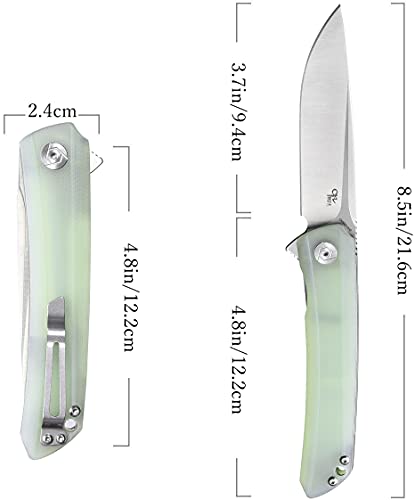 Eafegrow CH3002-G10 Folding Camping Knives 3.7 inch D2 Blade and G10 Handle Pocket Knives Outdoor Hunting Knife Tactical Folding Knives (jade)