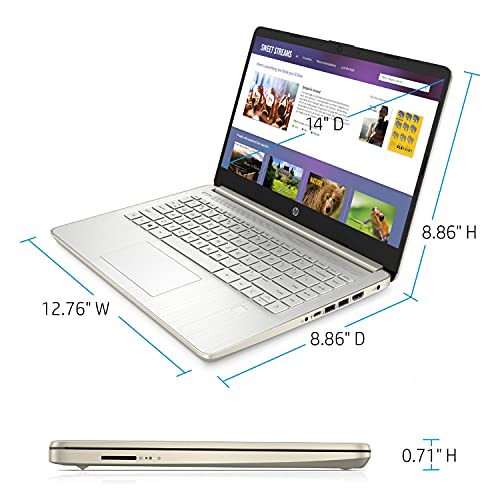 2022 HP Premium 14-inch HD Thin and Light Laptop, Intel Dual-Core Processor, 16GB RAM, 64GB Storage, Long Battery Life, Webcam, Bluetooth, HDMI, Wi-Fi, Pale Gold, Windows 10 (Renewed)