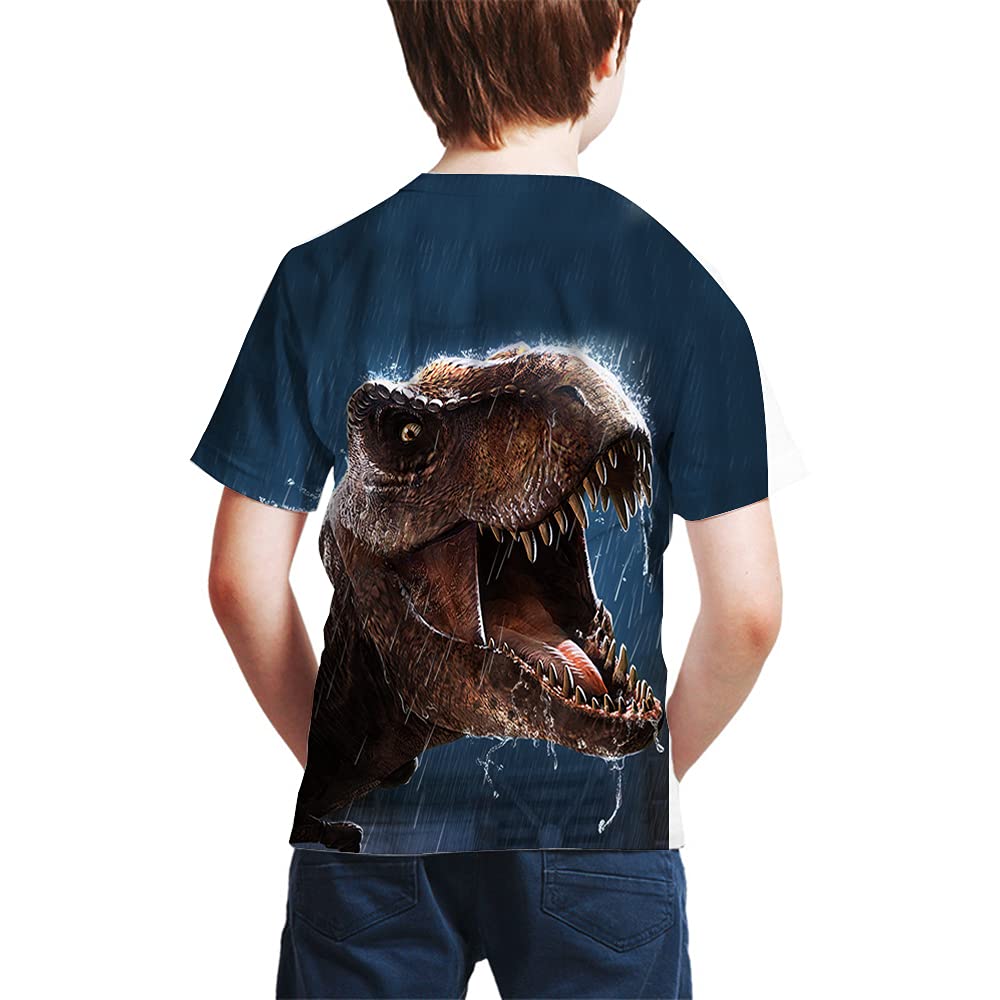 FiveEarl Kids Print 3D Dinosaurs Tees Shirts for Youth Boys Girls 4-14 Years (T11311, 9-10 Years)