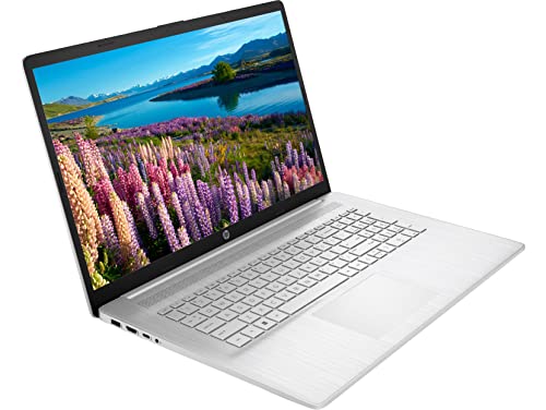 HP Newest 17 Laptop, 17.3" HD+ Touchscreen Display, AMD Athlon Gold 3150U Processor, 16GB DDR4 RAM, 1TB PCIe NVMe SSD, Type-C, HDMI, Wi-Fi, Bluetooth, Windows 11 Home, Silver