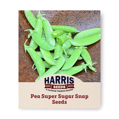 Garden Trends - Pea Seeds - Super Sugar Snap - Non-GMO Vegetable for Outdoor Planting Home Garden - Long Vines - Dark Green Pods - Flat, Sweet Berries - 0.5 Lbs