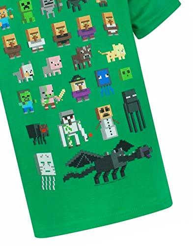 Minecraft T-Shirt Boys Kids Sprites Green Characters Short Sleeve Game Top 9-10 Years