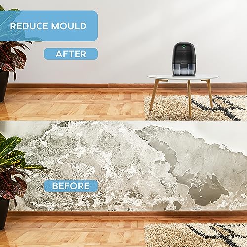 MONHOUSE Dehumidifier 600ml Portable, Compact & Quiet Moisture Absorber - Mini Air Dehumidifier for Home, Bedroom Damp, Car, Office, Garage, Caravan & Basement - Electric Mould Remover - Black