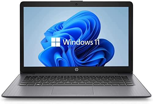 Newest HP 14" HD Laptop, Windows 11, Intel Celeron Dual-Core Processor Up to 2.60GHz, 4GB RAM, 64GB SSD, Webcam, Dale Pink(Renewed) (Dale Black)