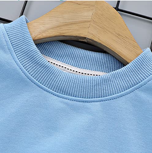 Infant Toddler Baby Boy Girl Sweatshirt Pullover Hooded Pocket Warm Casual Cold Weather Sweatshirt Newborn Sweatshirts Blue