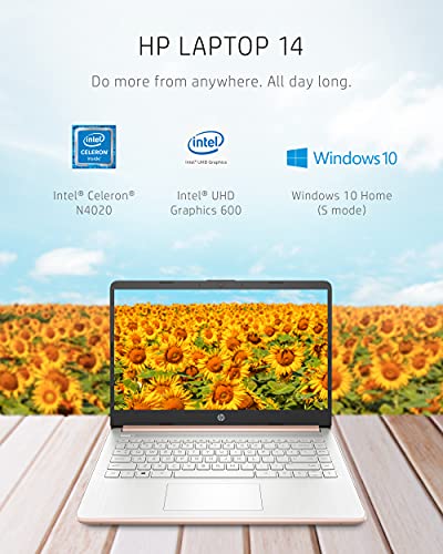 HP 14 Laptop, Intel Celeron N4020, 4 GB RAM, 64 GB Storage, 14-inch HD Touchscreen, Windows 10 Home, Thin & Portable, 4K Graphics, One Year of Microsoft 365 (14-dq0070nr, 2021, Pale Rose Gold)