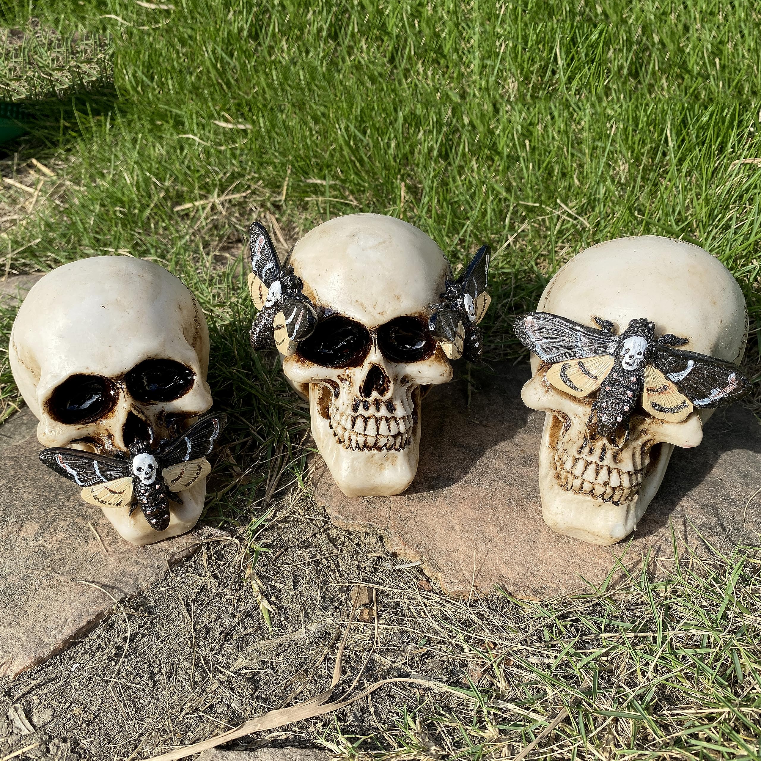 Basuo-9Q Pack of 3 Hear Speak See No Evil Resin Figurines Halloween Decoration Wise Skeletons Statues Black Reapers (Moth-Skulls)