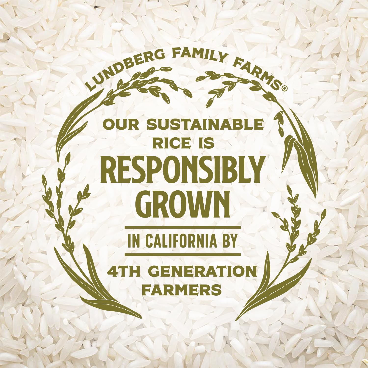 Lundberg Jasmine Rice, Long Grain White Rice - Non-Sticky, FluffyAromatic Rice, Sustainably Grown in California, Pantry Staples, Chip Clip Included, 32 Oz
