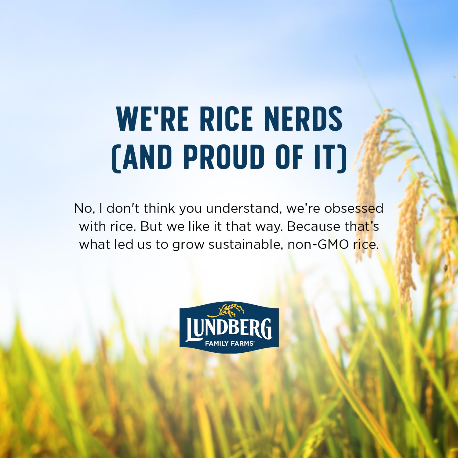 Lundberg Jasmine Rice, Long Grain White Rice - Non-Sticky, FluffyAromatic Rice, Sustainably Grown in California, Pantry Staples, Chip Clip Included, 32 Oz