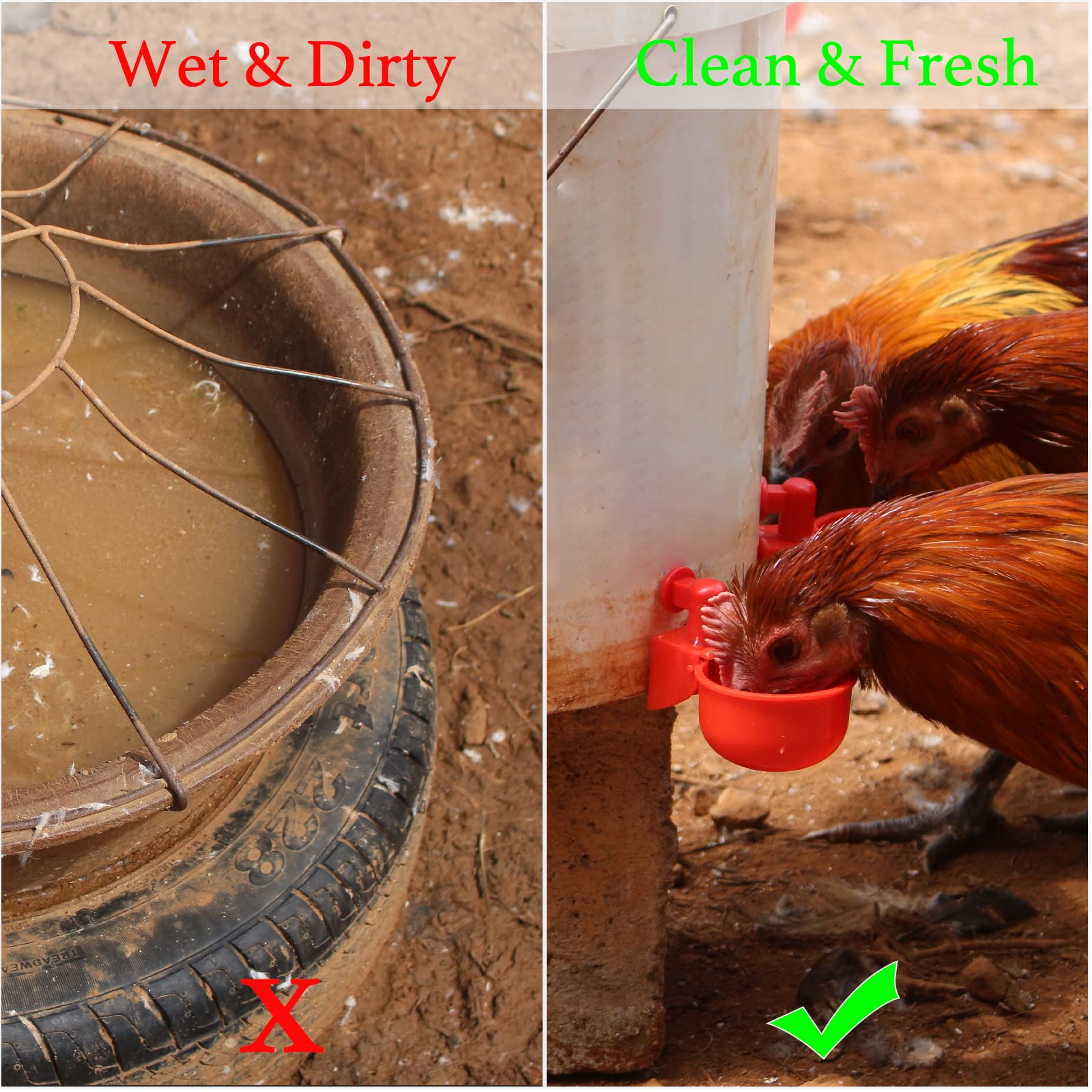 Chicken Feeder and Waterer Kit, 6 PCS Poultry Feeders No Waste and Chicken Water Cups for Buckets Barrels