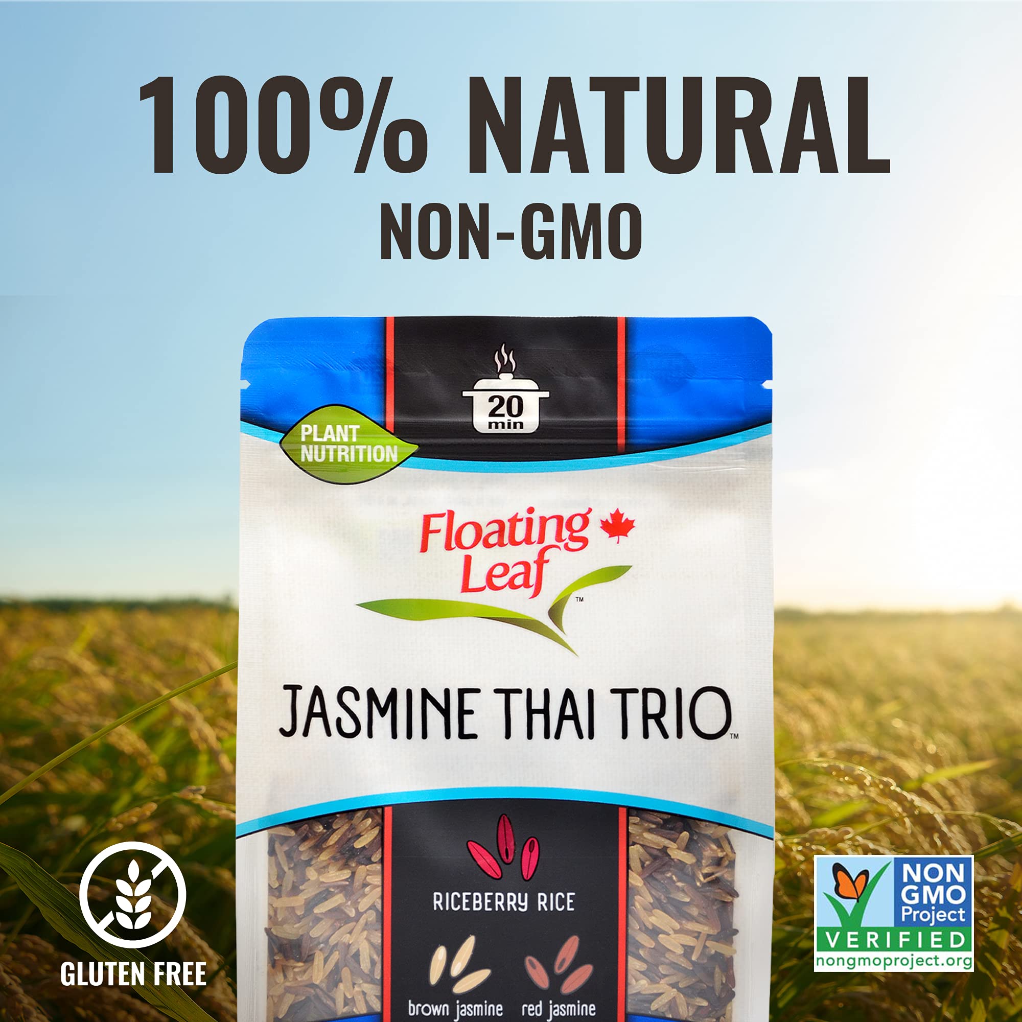 3 Packs x 14 ounces Jasmine Thai Trio, Riceberry Rice (Jasmine Black Rice), Brown Jasmine Rice and Red Jasmine Rice, Non Gluten, Non-Gmo, Kosher and Vegan - Floating Leaf