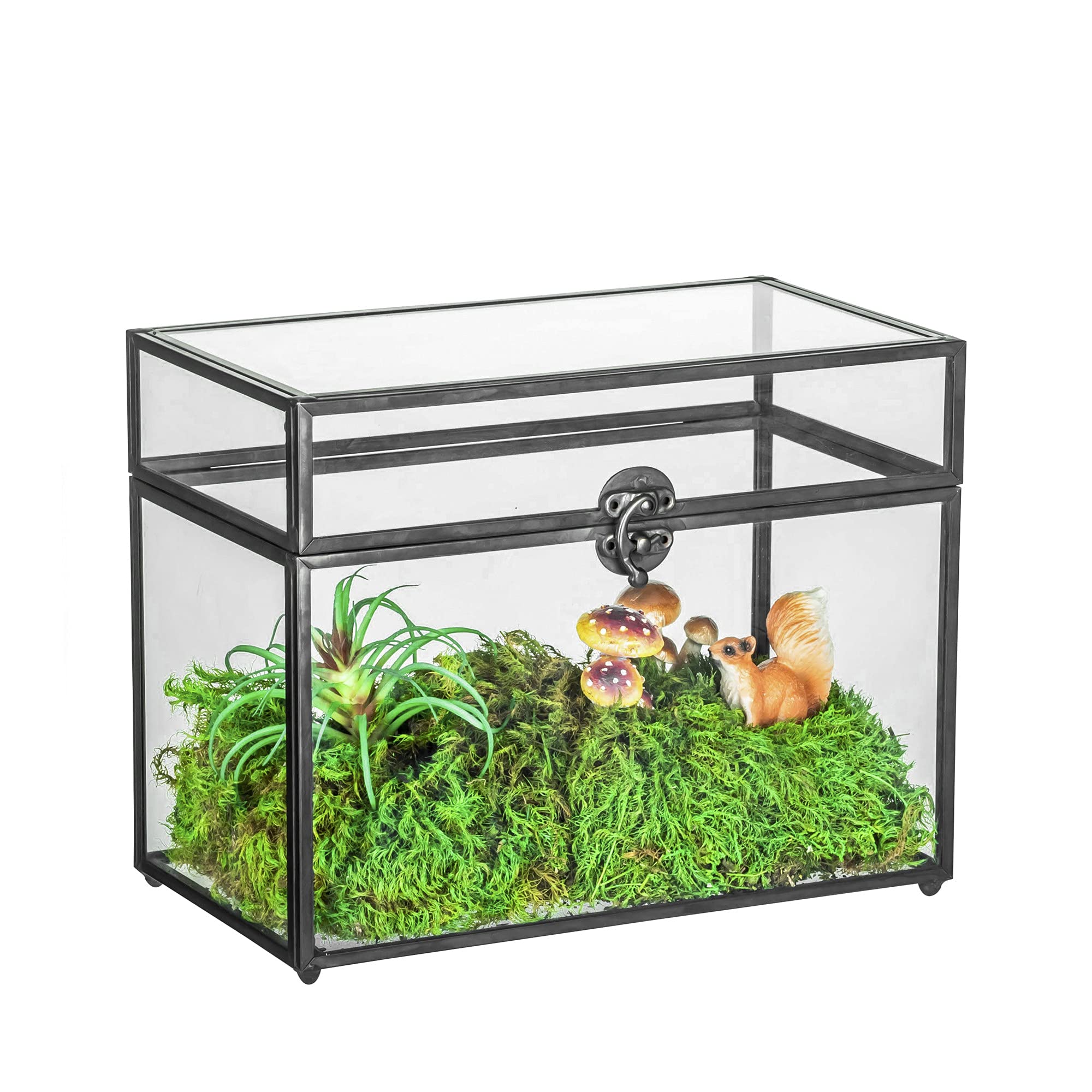 NCYP 9.8 x 5.6 x 7.7 Inch Glass Card Box with Lid for Wedding Reception, Envelope, Keepsake - Vintage Terrarium Container, Clear Party Centerpiece, Black (Glass Box Only)
