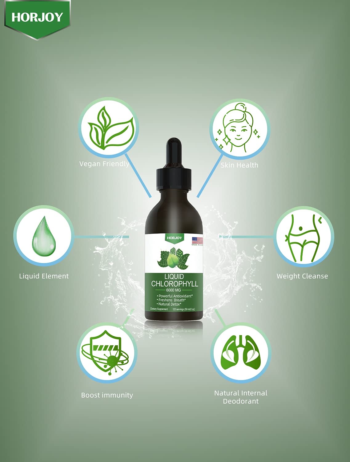 Chlorophyll Liquid Drops - 100% Natural Energy Booster and Immune Support - Internal Deodorant and Detox - Altitude Sickness Relief - Fast Absorption, Vegan & Non-GMO - 120 Servings (Pack of 1)