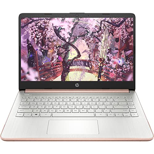 HP Premium 14-inch HD Thin and Light Laptop, Intel Dual-Core Processor, 8GB RAM, 64GB Storage, Long Battery Life, Webcam, Bluetooth, HDMI, Wi-Fi, Rose Gold, Windows 11 + 1 Year Microsoft 365