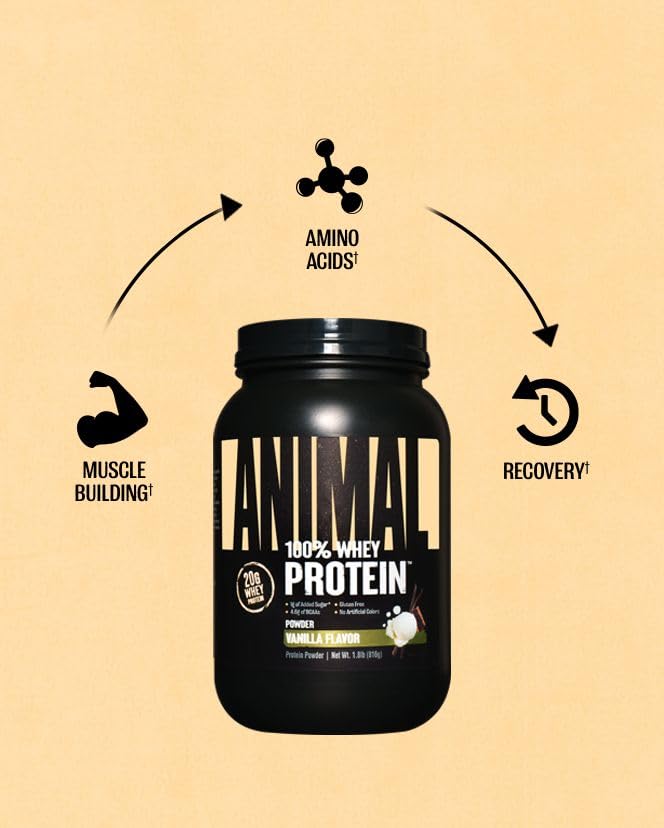 Animal 100% Whey Protein Powder – Whey Blend for Pre- or Post-Workout, Recovery or an Anytime Protein Boost– Low Sugar – Vanilla, 1.8 lb