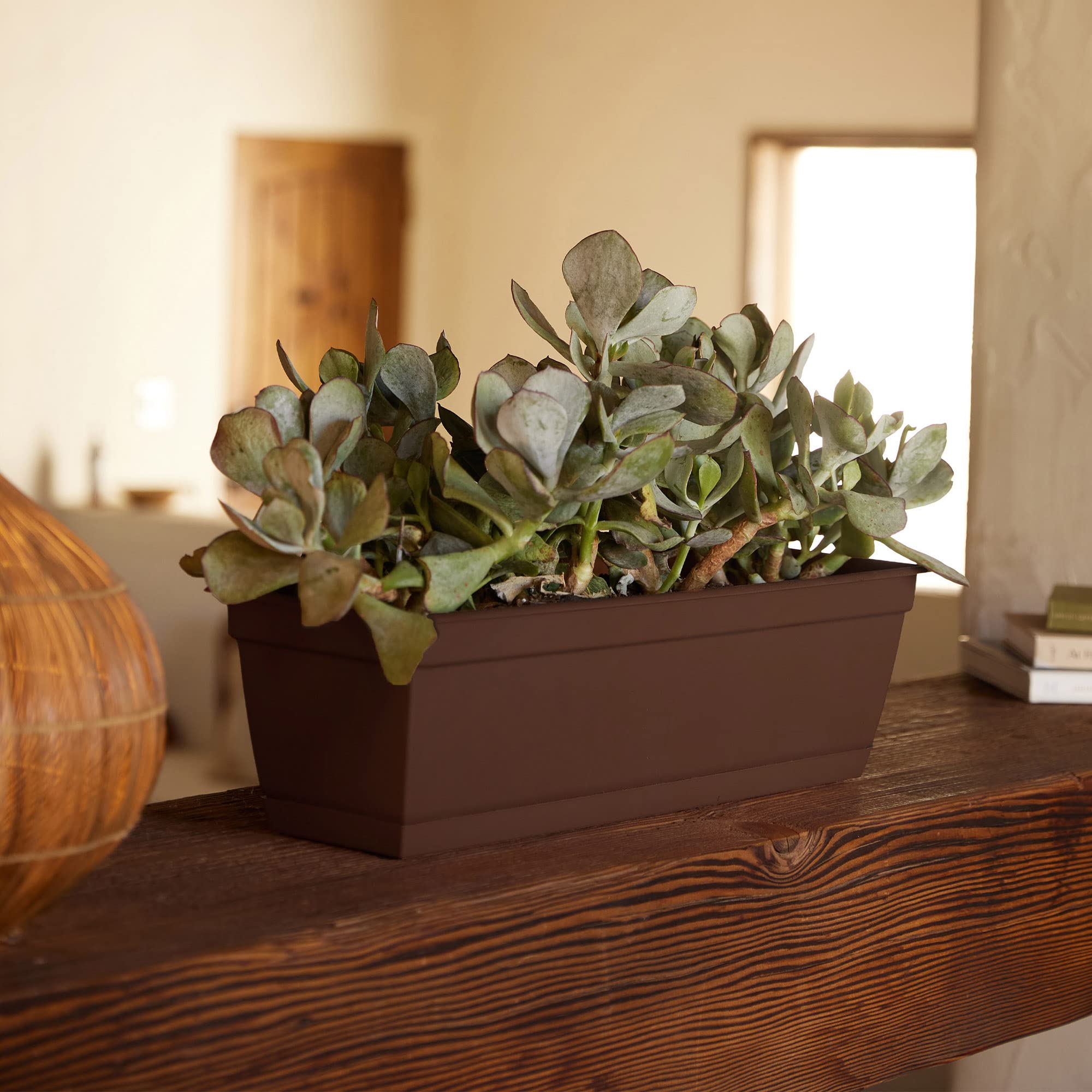 Bloem Dura Cotta Window Box Planter: 24" - Chocolate - with Tray, Weatherproof Resin Box, Removable Tray for Indoor & Outdoor Use, Gardening, 3 Gallon Capacity