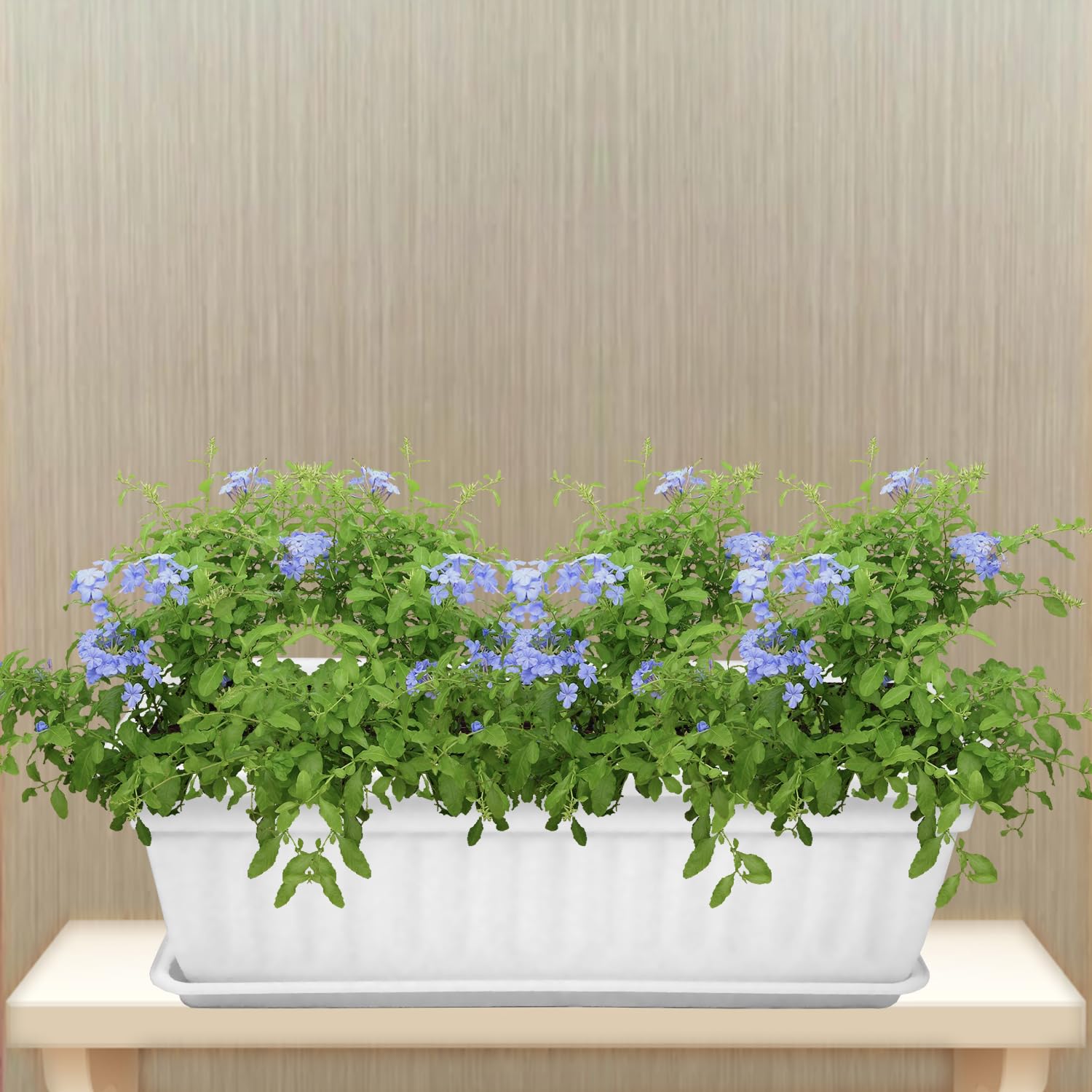 Niiiice 8 Packs 17 Inch White Plastic Flower Window Box Vegetable Planters with Trays, Rectangular Planter Planters with 10 Pcs Plant Labels (White)…