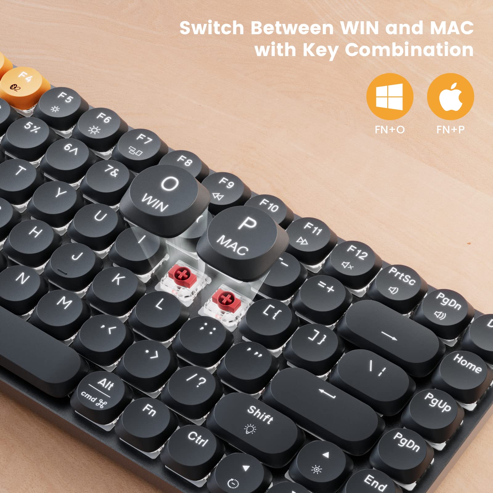 ProtoArc MECH K301 Office Keyboard - 75% Tactile Quiet Keyboard with Backlit, Triple-Mode 2.4G/USB-C/Bluetooth, Red Switches for PC, Mac, Windows, iPad - 84 Keys