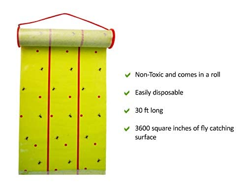 Catchmaster Outdoor Fly Trap Bundle, Giant Fly Glue Trap 3-Pack & Fly Bag 4-Pack, for Garage, Backyard, Pool, Patio & Camping
