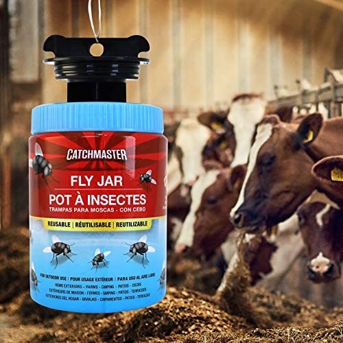 Catchmaster Fly Trap Bundle, Fly Ribbon 20-Pack & Outdoor Fly Jar, for Garage, Backyard, Pool, Patio & Camping