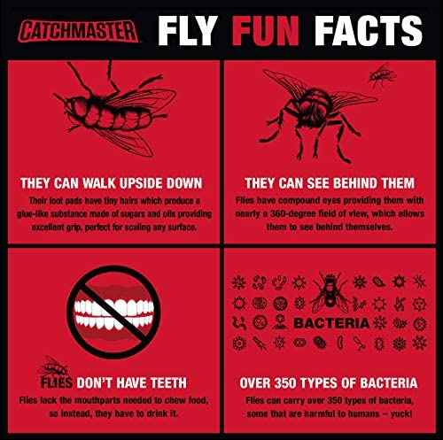 Catchmaster Fly Trap Bundle, Fly Ribbon 20-Pack & Outdoor Fly Jar, for Garage, Backyard, Pool, Patio & Camping