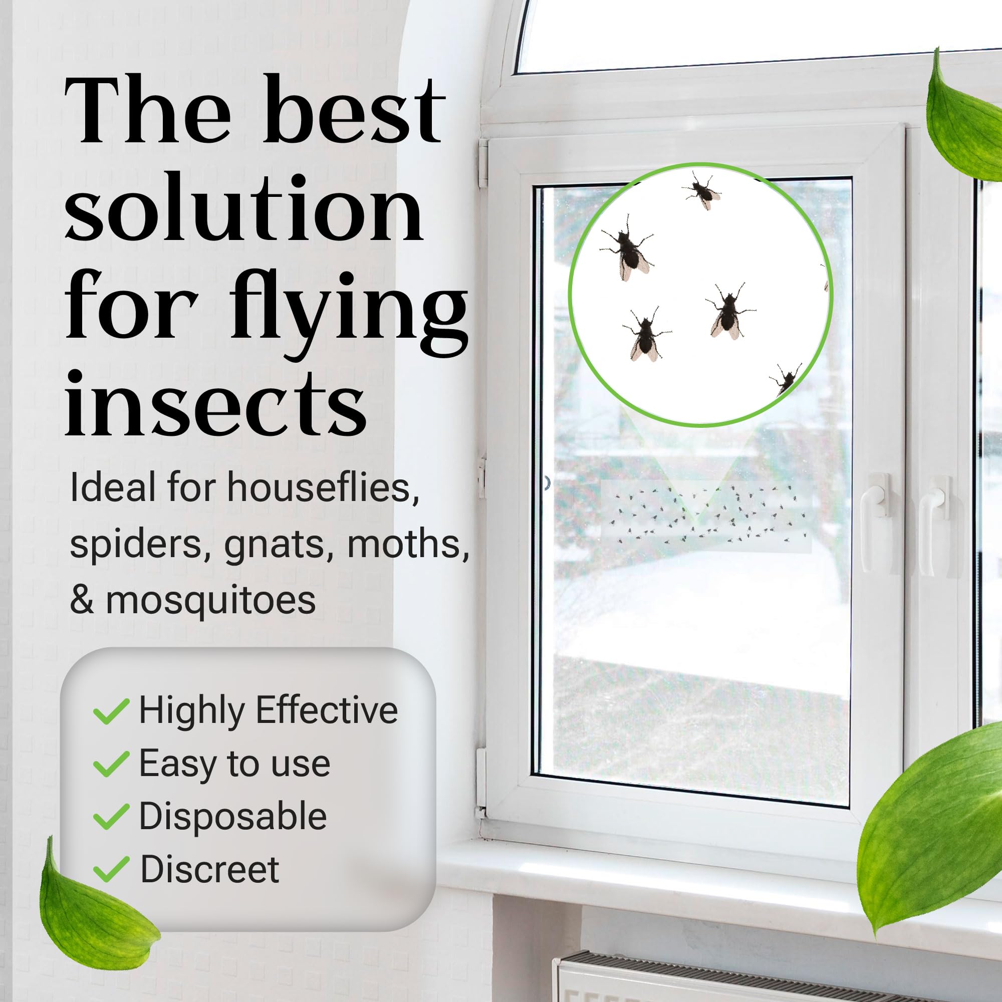 Fly Trap Indoor or Outdoor Usage | Window Fly Traps are Clear & Transparent | Also for Moths, Gnats, Fruit Flies, Spiders and Ants | Easy to Use - Easy to Dispose | Pack of 30