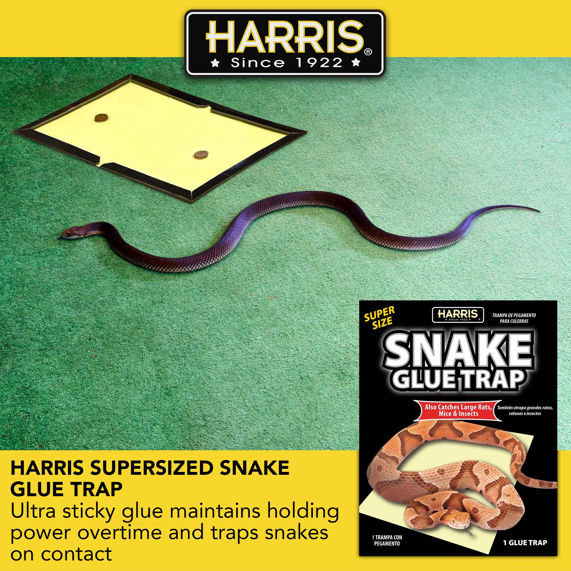 Harris Snake Glue Trap, Super Sized for Snakes, Rats, Mice and Insects (1-Pack)