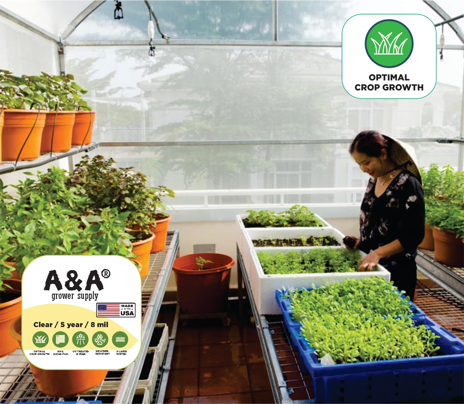 A&A Greenhouse Clear Plastic Film Polyethylene Covering Gt5 Year 8 Mil. - UV Protection - (12 ft. W x 25 ft. L)