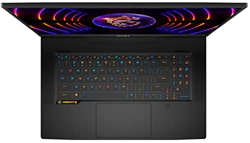 EXCaliberPC 2023 MSI Titan GT77HX 13VH-046US (i9-13980HX, 128GB RAM, 8TB WD NVMe SSD, RTX 4080 12GB, 17.3" 4K UHD, Windows 11 Pro) Gaming Laptop