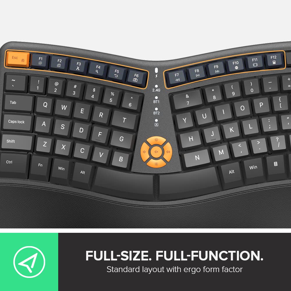 DeLUX Wireless Ergonomic Keyboard - Ergo Split Keyboard with Palm Rest for Natural Typing, 2.4G and Bluetooth, Full-Size, US Layout - Compatible with Windows and Mac OS (GM905, Graphite)