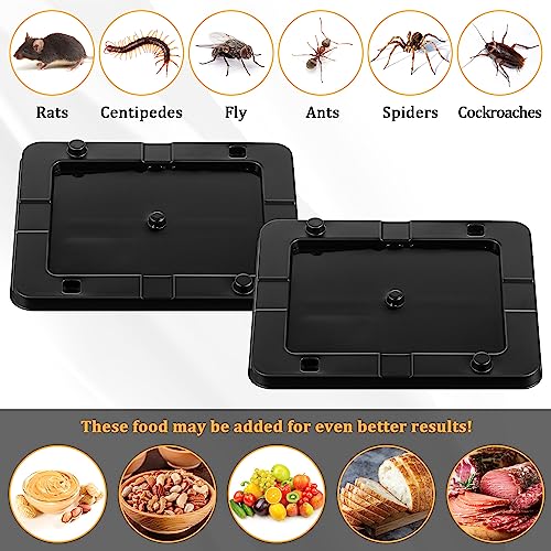 Qualirey 12 Pack Mouse and Insect Glue Traps, Strong Sticky Pre Baited Trays with Non Toxic Glue for Mice, Small Rats, Flies, Cockroaches and Other Bugs, Ready to Use Indoor, Safe to Children