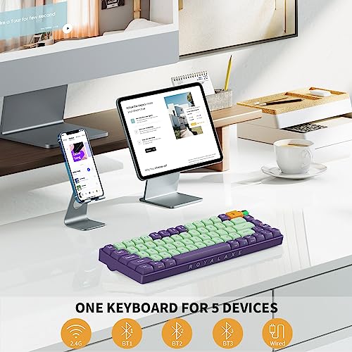 ROYALAXE R68 60% Wireless Mechanical Keyboard, Hot Swappable Custom Keyboard,Pre-lubed Gateron Pro Yellow Switches RGB Gaming Keyboard, 2.4GHz/Type-C/BT5.0 Mechanical Keyboard (Purple & Cyan)