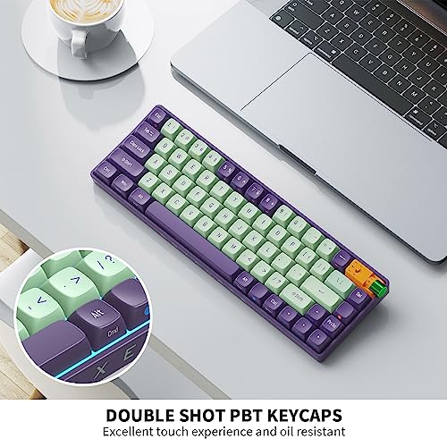 ROYALAXE R68 60% Wireless Mechanical Keyboard, Hot Swappable Custom Keyboard,Pre-lubed Gateron Pro Yellow Switches RGB Gaming Keyboard, 2.4GHz/Type-C/BT5.0 Mechanical Keyboard (Purple & Cyan)