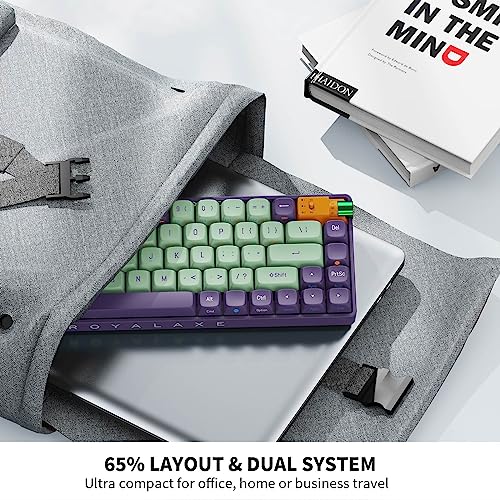 ROYALAXE R68 60% Wireless Mechanical Keyboard, Hot Swappable Custom Keyboard,Pre-lubed Gateron Pro Yellow Switches RGB Gaming Keyboard, 2.4GHz/Type-C/BT5.0 Mechanical Keyboard (Purple & Cyan)