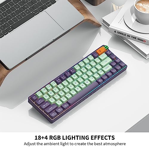 ROYALAXE R68 60% Wireless Mechanical Keyboard, Hot Swappable Custom Keyboard,Pre-lubed Gateron Pro Yellow Switches RGB Gaming Keyboard, 2.4GHz/Type-C/BT5.0 Mechanical Keyboard (Purple & Cyan)