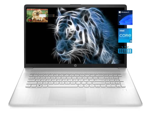 HP 2023 Pavilion Business Laptop, Intel Core i5-1155G7, 17.3" FHD IPS Display, Windows 11 Pro, 32GB RAM, 1TB SSD, Intel Iris Xe Graphics, Backlit Keyboard, WiFi, Type-C, Long Battery Life, Durlyfish