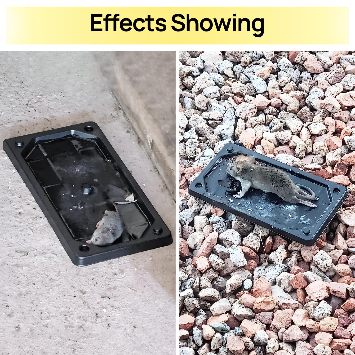 MEILEN Mouse Traps Indoor, Glue Traps for Mice and Rats, Super Heavier Rat Traps Large Size Pre-Scented Strengthen Sticky Mouse Traps for Home Safe for Children & Pets-12Packs