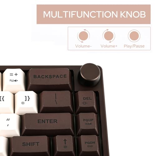 Feker IK65 VIA Programmable 2.4G/BT5.0/USB-C Mechanical Keyboard, 65% Hot Swappable Gasket-Mounted, with Sound Dampening Foams Kit, Volume-Control Knob, 4000mAh Battery, RGB for Win/Mac (Brown Knob)