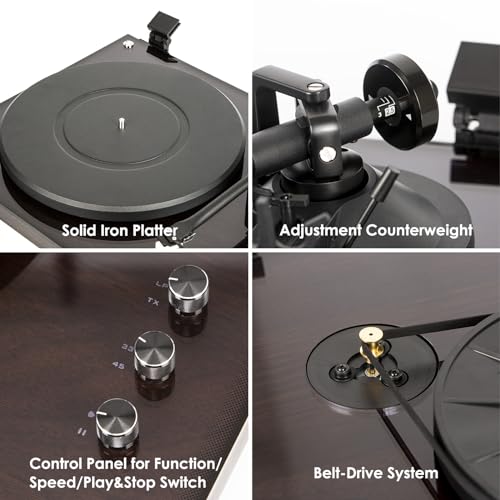 1 BY ONE Luscinia Acrylic Sheet Turntable, Belt-Drive Vinyl Record Player with Bluetooth Connectivity, Built-in Phono Preamp, USB Recording RCA Output, Adjustable Counterweight and Magnetic Cartridge
