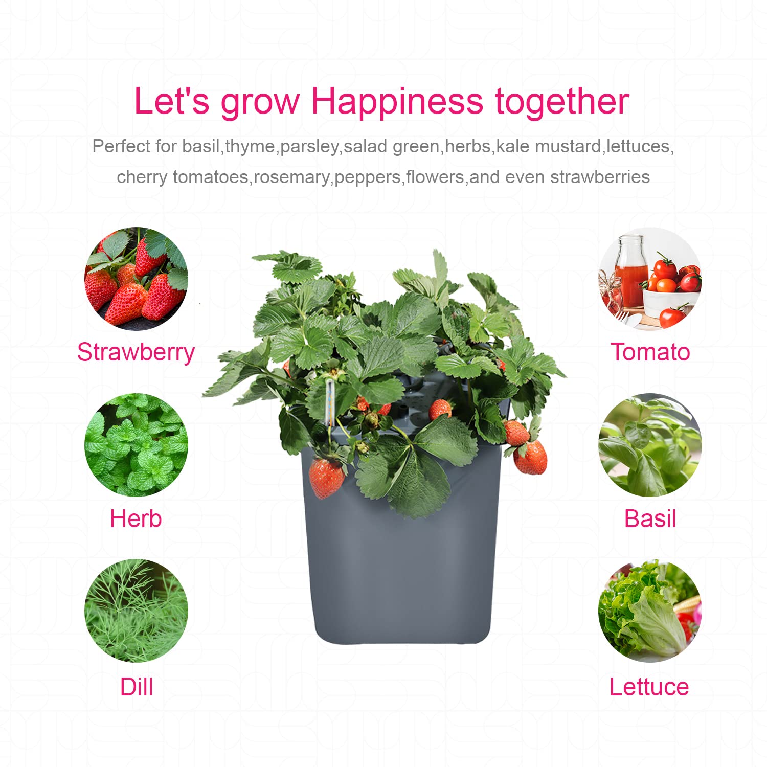 Lawnful 4 Hydroponic Buckets Kit for Plants, Hydroponics Growing System for Herbs/Tomato/Vegetables, DWC System with Air Pump & Germination Tray (Complete Indoor Hydroponic Gardening Supplies)