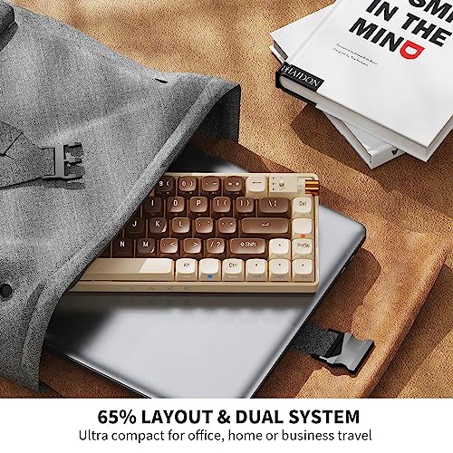 ROYALAXE R68 TKL Mechanical Keyboard, Upgraded TTC Gold Pink Switches, Hot Swappable Wired/Bluetooth 5.0/2.4G Wireless Keyboard with RGB Light for Windows & Mac, PBT Keycaps, Lava Brown