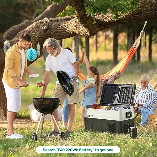 F40C4TMP 12 Volt Portable Refrigerator, 58 Quart Dual Zone Car Freezer, Independent Temperature Control -4℉ to 50℉, 55L Compressor Fridge, Camping, Travel, Trip, Vehicle, Home, 12V/24V DC & 110V AC