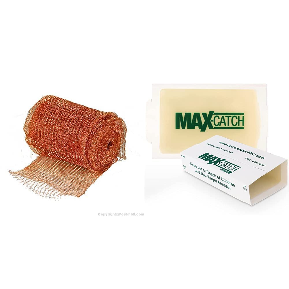Stuff-fit Copper Mesh for Pest Control + Catchmaster Pest Glue Traps (36 Count)